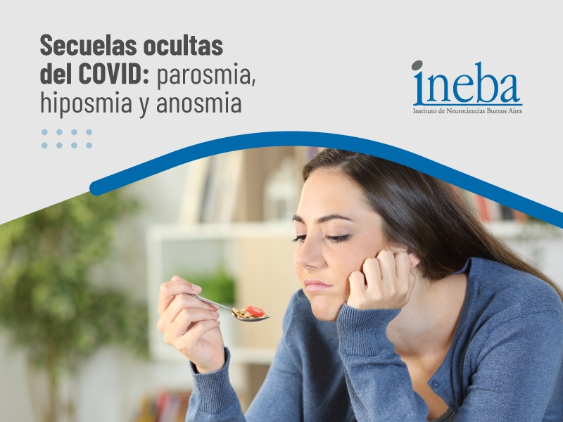 Ineba > Prensa y Comunicación